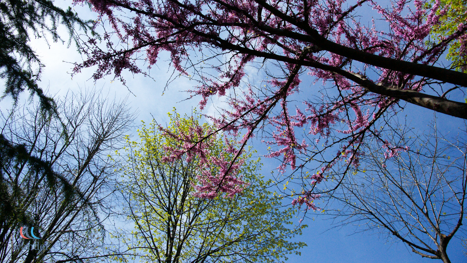 Taulanti Tour - Wander - Explore Albania through our Tours