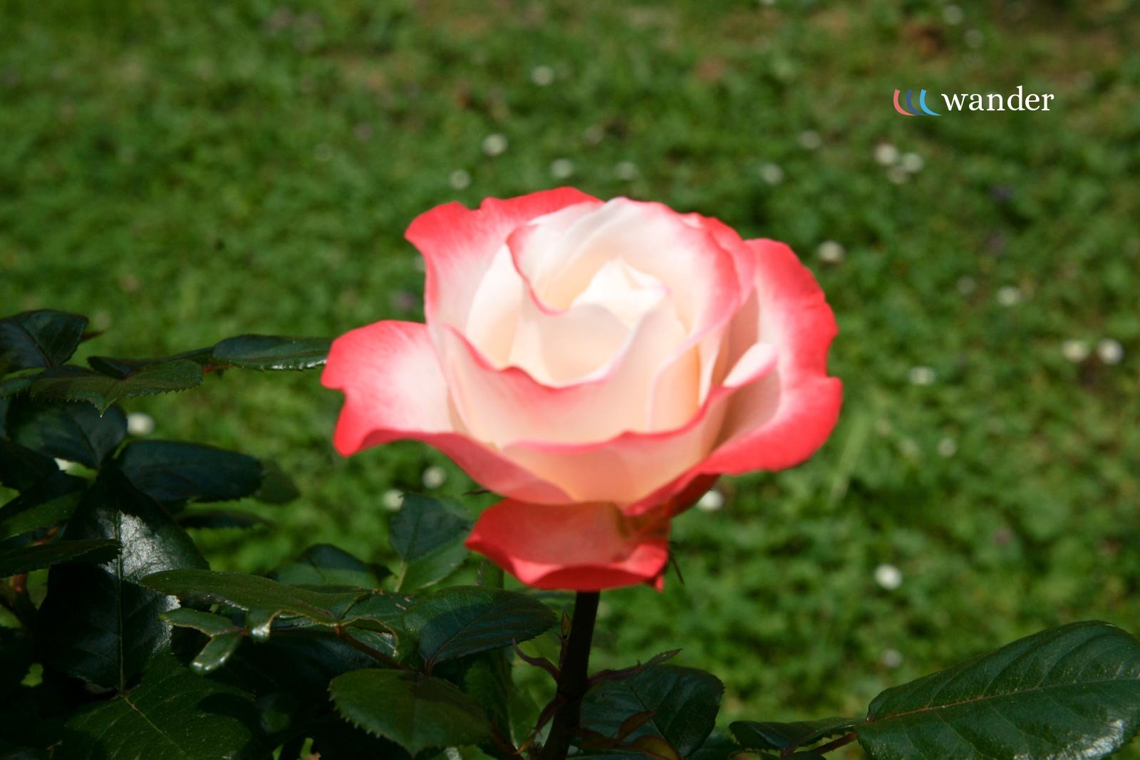 Epikad Tour - Wander - Explore Albania through our Tours