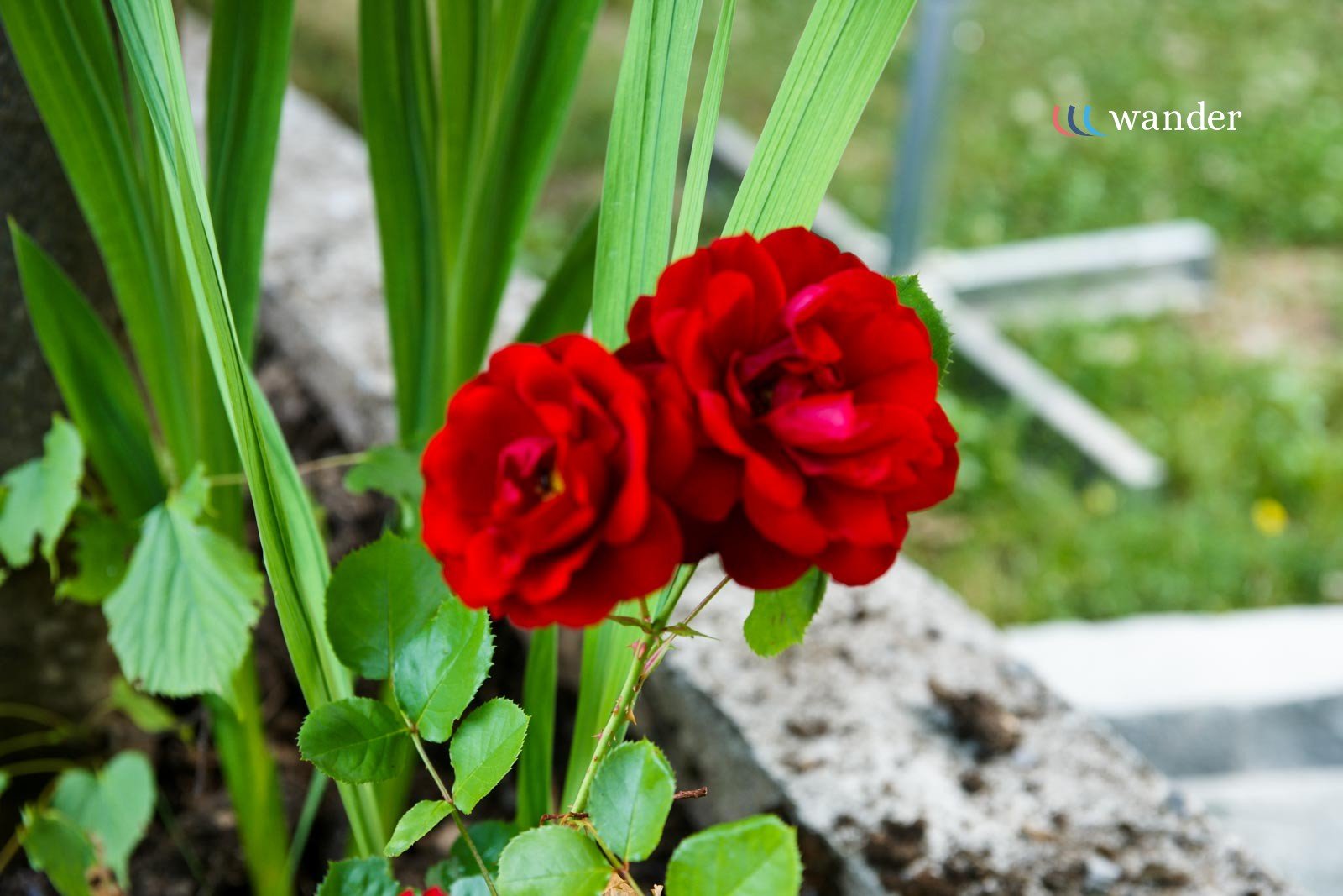 Epikad Tour - Wander - Explore Albania through our Tours