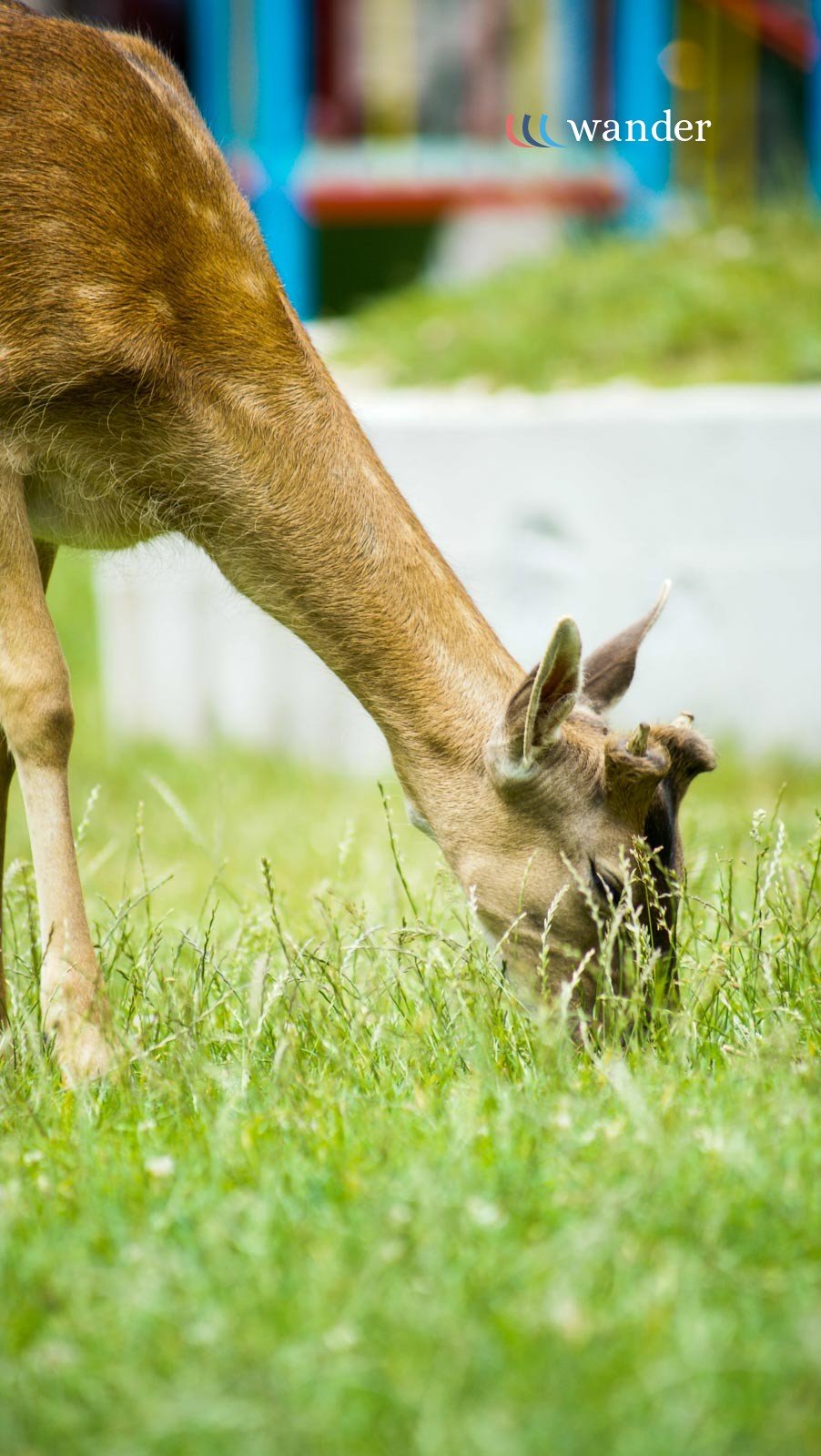 Llogora - Wander - Explore Albania through our Tours